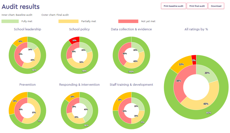 Audit Tool User Guide